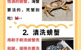 蒸螃蟹冷水还是热水下锅_蒸螃蟹需要多长时间