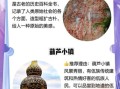 沧源旅游景点有哪些_沧源旅游攻略必去景点
