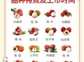 荔枝产地哪里最正宗_如何挑选当季荔枝