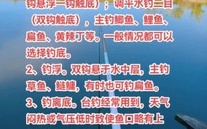 钓鱼技巧_如何提高上鱼率