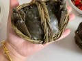 大闸蟹清蒸怎么做_清蒸大闸蟹的正确步骤