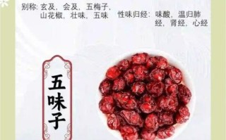五味子功效与作用_五味子主治什么病