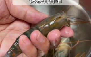 虾头怎么处理才可以吃_虾头怎么清洗才干净