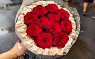 玫瑰花图片唯美_如何拍出浪漫氛围