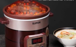 炖汤锅哪个牌子好_电炖锅选购指南