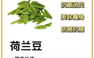 荷兰豆为什么叫荷兰豆_荷兰豆名字的由来