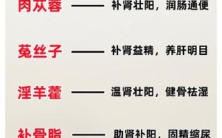 壮阳中药配方大全秘方_男人肾虚吃什么中药最见效