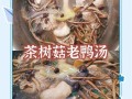 茶树菇老鸭汤的功效_适合哪些人喝