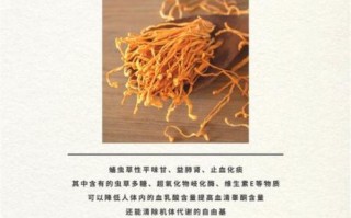 蛹虫草菌粉胶囊的功效与作用_蛹虫草菌粉胶囊适合什么人吃