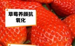 草莓的营养价值_草莓一天吃多少合适