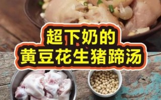 月子花生炖猪蹄的做法_下奶汤怎么做