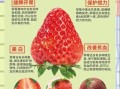 草莓的功效与作用_草莓吃多了有什么害处