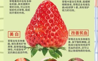 草莓的功效与作用_草莓吃多了有什么害处