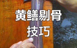 黄鳝怎么杀_黄鳝宰杀视频教程