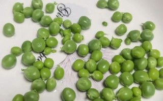 新鲜青豌豆怎么做好吃_青豌豆的家常做法大全