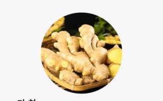 生姜的作用与功效有哪些_生姜怎么吃效果最好