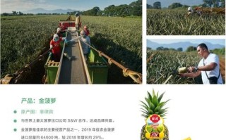 菠萝饭官网有哪些功能_菠萝饭官网怎么注册账号