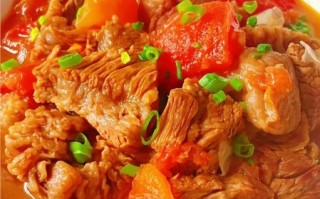 西红柿炖牛肉怎么做_西红柿炖牛肉视频教程