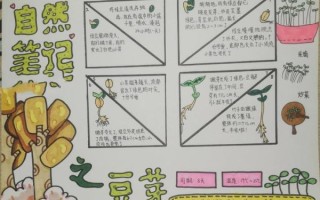 黄豆芽怎么种_四年级观察日记怎么写 黄豆芽怎么种_四年级观察日记怎么写