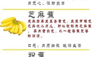 香蕉是酸性还是碱性_吃香蕉会改变体质吗