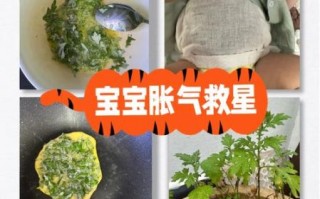 艾叶煮鸡蛋敷宝宝肚子_宝宝肚子胀气怎么办