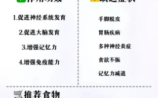 维生素b族的作用和副作用_维生素b族什么时候吃最好