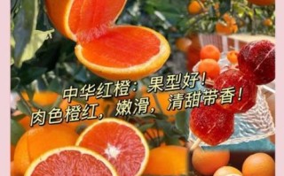 血橙产地哪里的最好_血橙哪个品种最甜