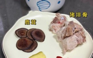 鹿肉汤怎么炖好喝_鹿肉汤的家常做法
