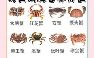 螃蟹放家里怎么养活_螃蟹能活几天