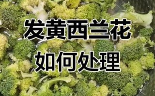 西兰花变黄了还能吃吗_西兰花变黄怎么处理