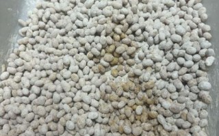 黄豆酱发酵几天再晒_晒酱最佳时间