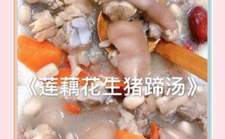 猪脚爪汤怎么炖才白_猪脚爪汤的家常做法