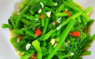 南瓜叶怎么做好吃_南瓜叶的家常做法大全