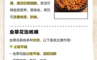 虫草花有什么功效与作用_虫草花营养价值高吗