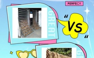 蔬菜干是怎么加工的_蔬菜干加工流程