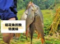稻花鱼怎么养_稻花鱼养殖技术要点