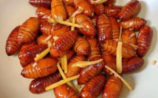 蚕蛹没焯水直接能炒吗_蚕蛹不焯水炒多久熟