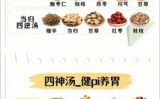 中医经典药膳大全_如何辨证选膳