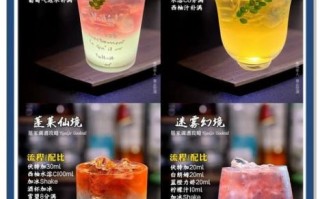 伏特加怎么喝才正确_伏特加兑什么好喝