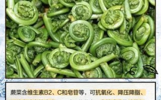 吃蕨菜有什么好处_蕨菜营养价值高吗