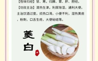 茭白怎么做好吃_茭白的功效与作用有哪些