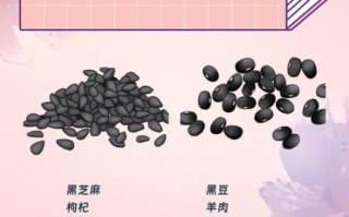 补肾气的食物有哪些_怎么吃效果最好