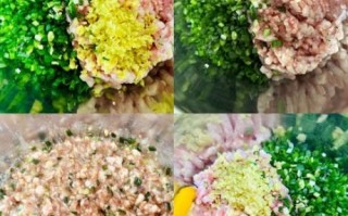 苜蓿菜馅儿饺子怎么做_苜蓿饺子馅要不要焯水