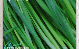 吃什么壮阳变硬_男人吃什么食物能快速壮阳