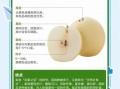 梨子的功效与作用及禁忌_哪些人不能吃梨子