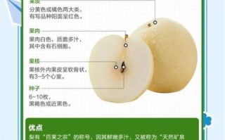 梨子的功效与作用及禁忌_哪些人不能吃梨子