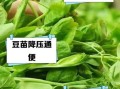 豆苗的功效与作用_孕妇可以吃豆苗吗