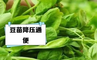 豆苗的功效与作用_孕妇可以吃豆苗吗