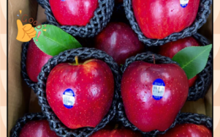 蛇果和苹果有什么区别_蛇果为什么那么贵