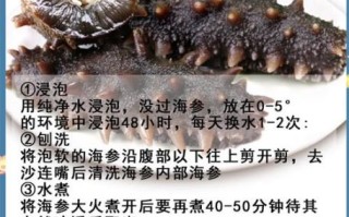 海参怎么发_海参怎么发又大又好